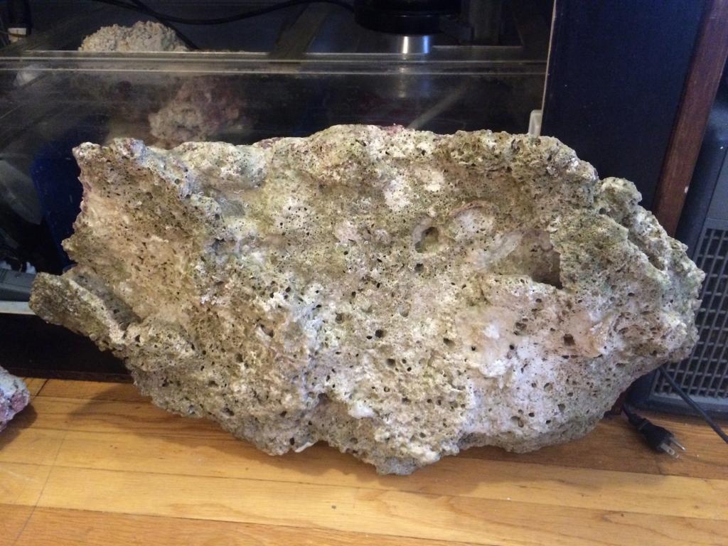 Live plate rock & sump F/S