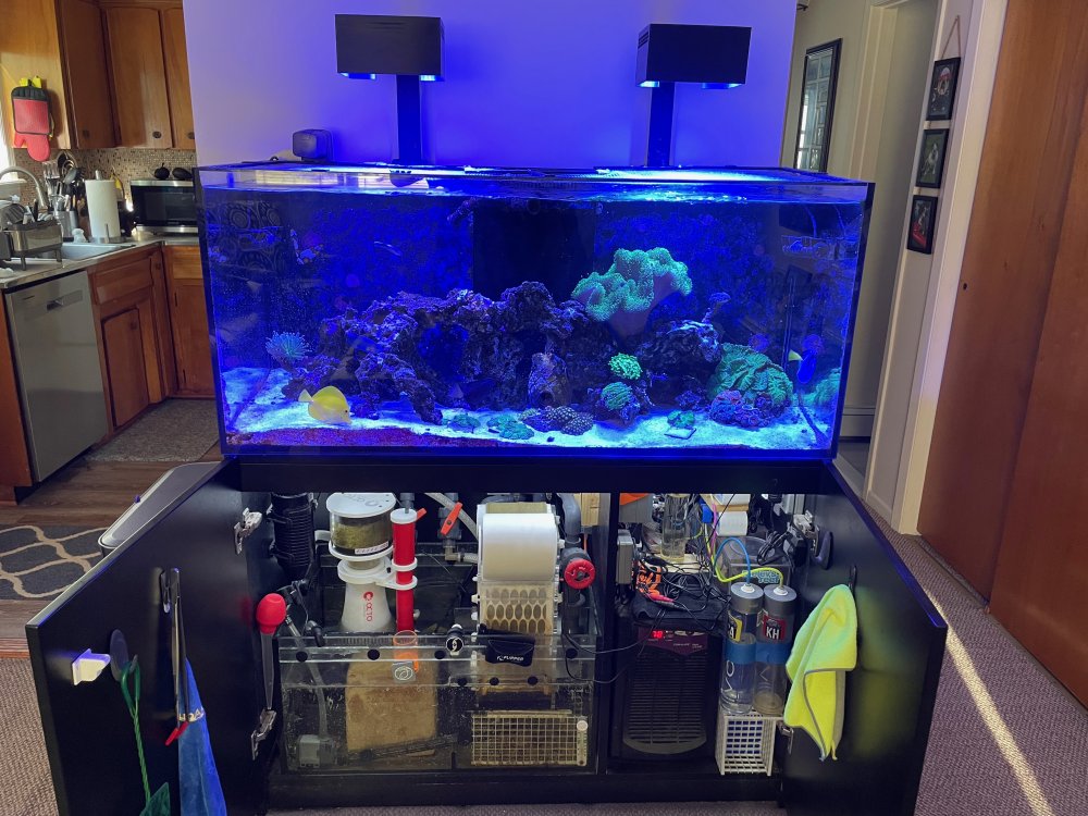 Tank Breakdown – Red Sea Reefer 350 v3 Sump