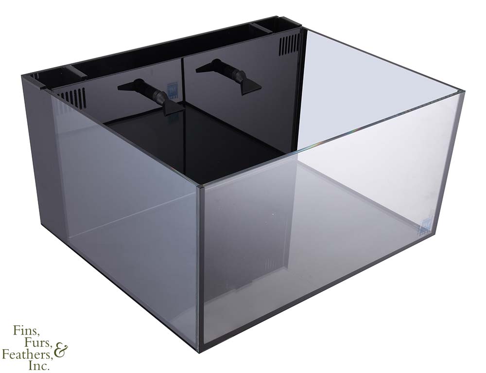 IM 25 Gallon Fusion Lagoon set-up