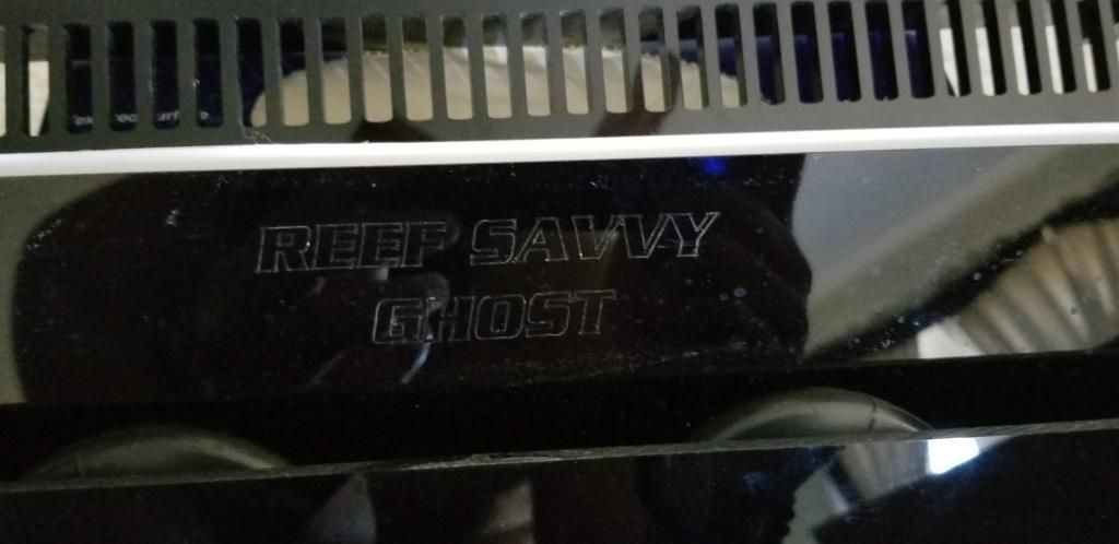 Reef Savvy Ghost Overflow