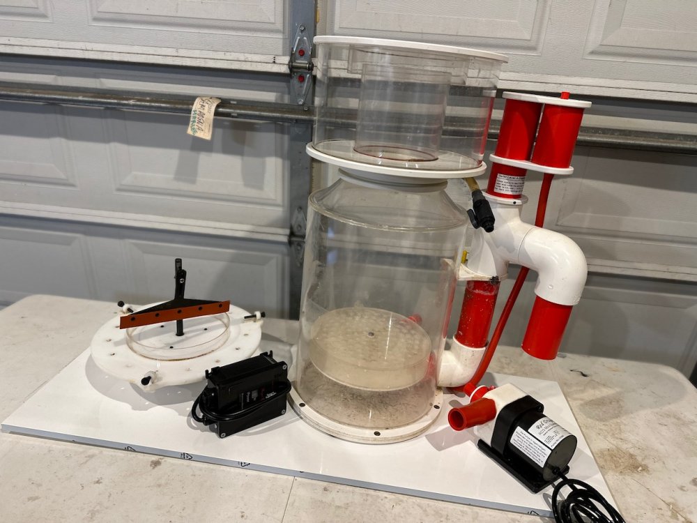 8' Show tank break down sale, $2,500 for all corals/fish/rock