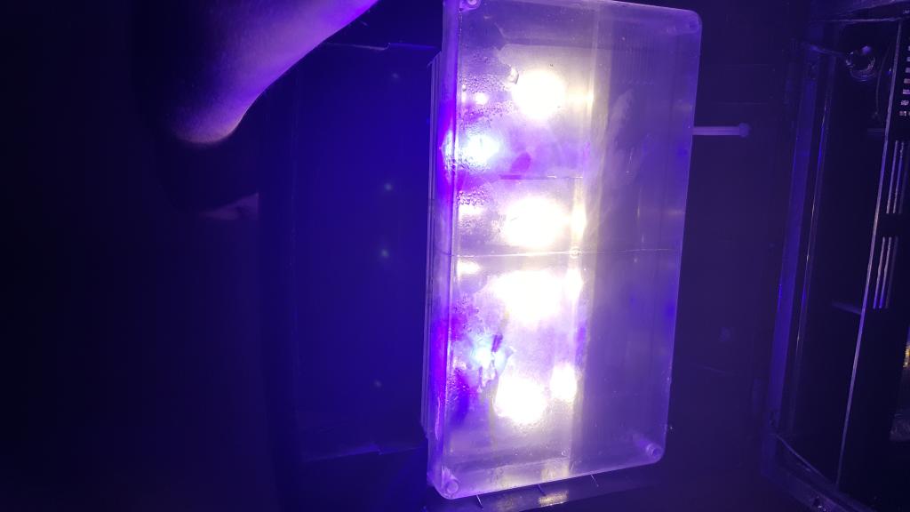 Biocube 14 with Stand