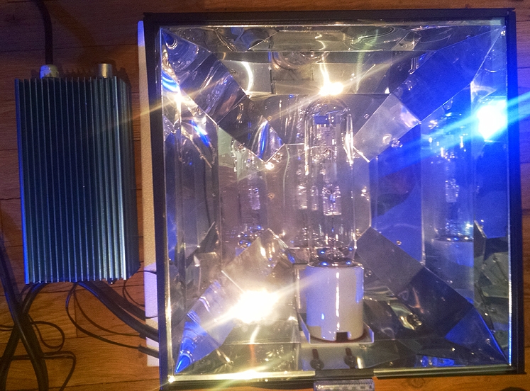 250W MH kit: Pendant, Ballast, Radium bulb