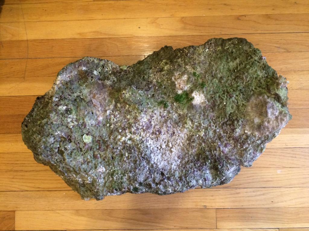 Live plate rock & sump F/S